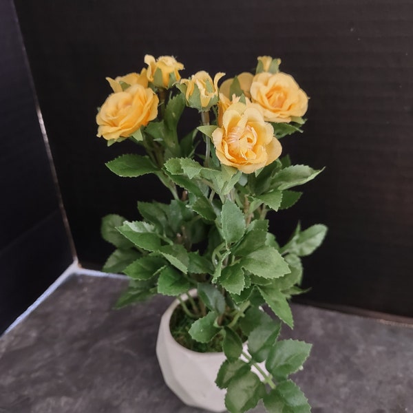 Rose Bush - Etsy