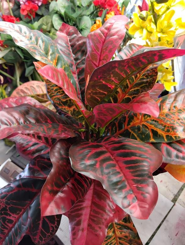 LARGE Artificial Croton Plant RED - Etsy