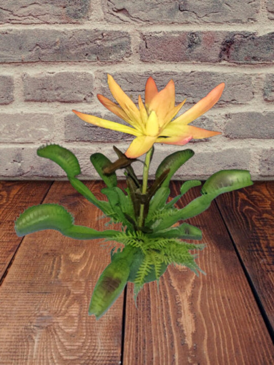 Artificial Venus Flytrap With Protea Flower and Ferns - Etsy