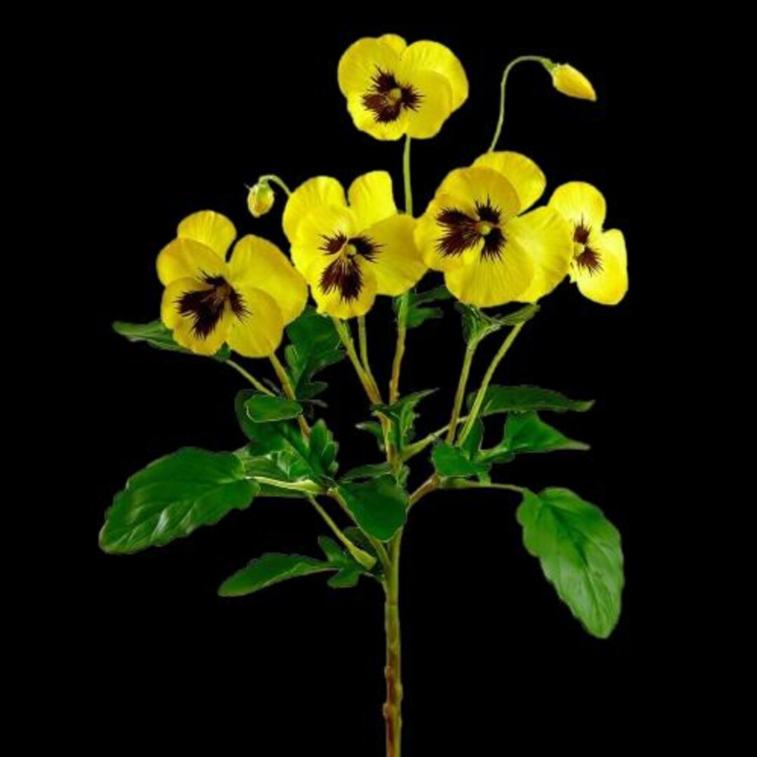 Artificial Pansy Flower Stem - Etsy