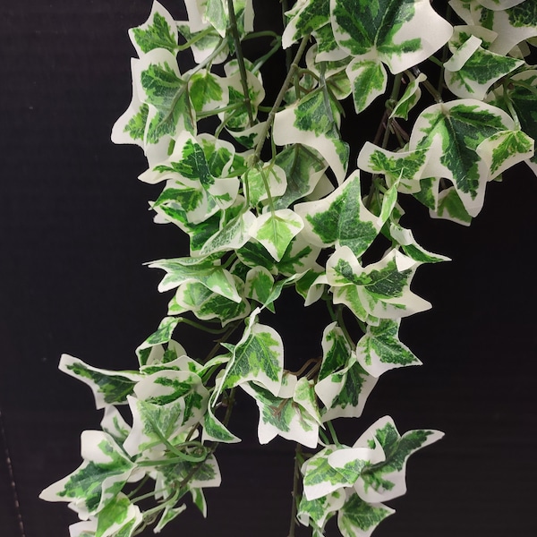 English Ivy - Etsy