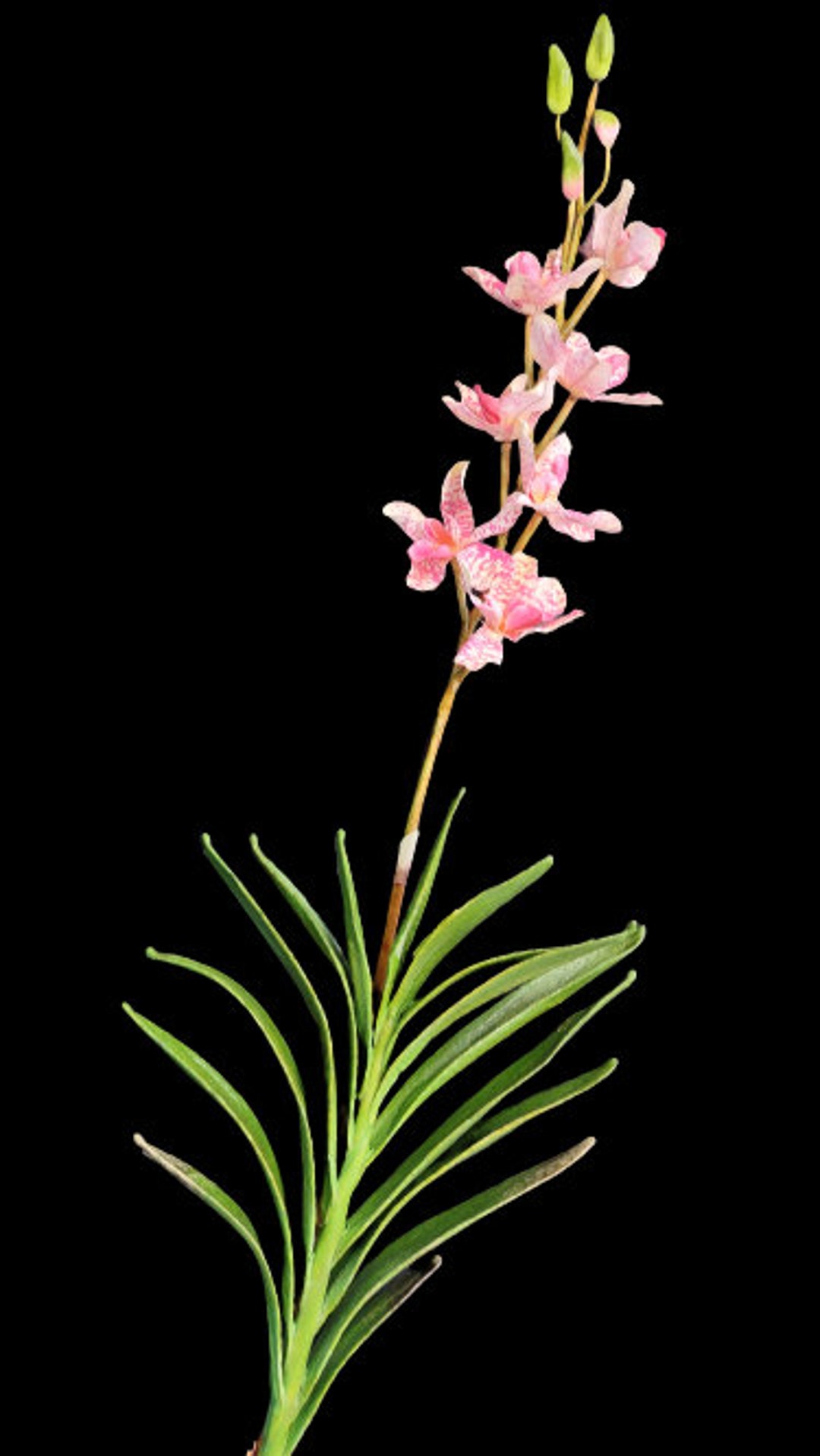 Artificial Vanda Orchid Stem Pink Etsy