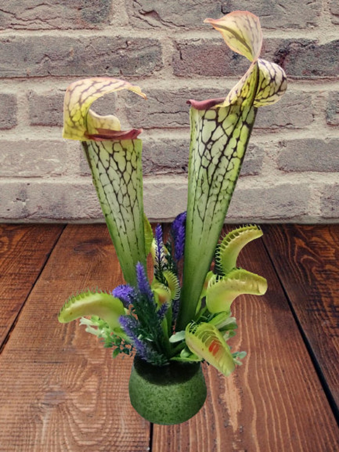 Venus Fly Trap Flower