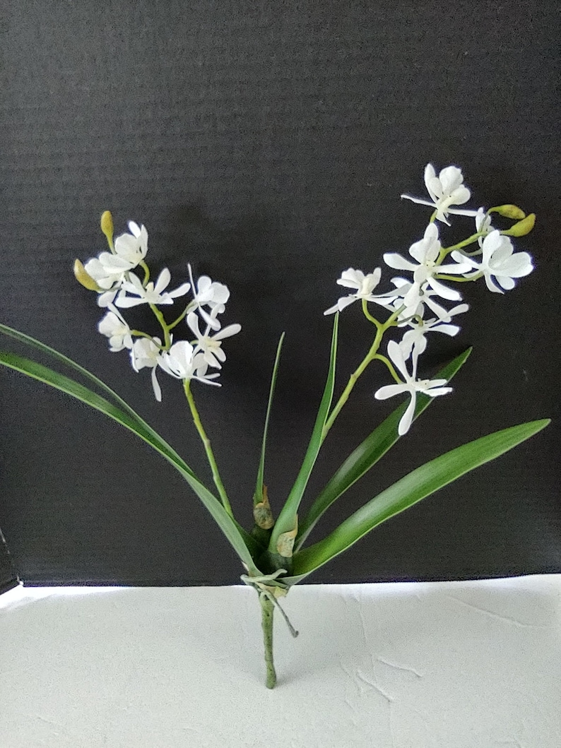 Artificial Mini Cattleya Orchid Stem WHITE - Etsy