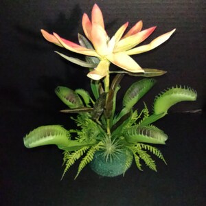 Artificial Venus Flytrap With Protea Flower and Ferns - Etsy