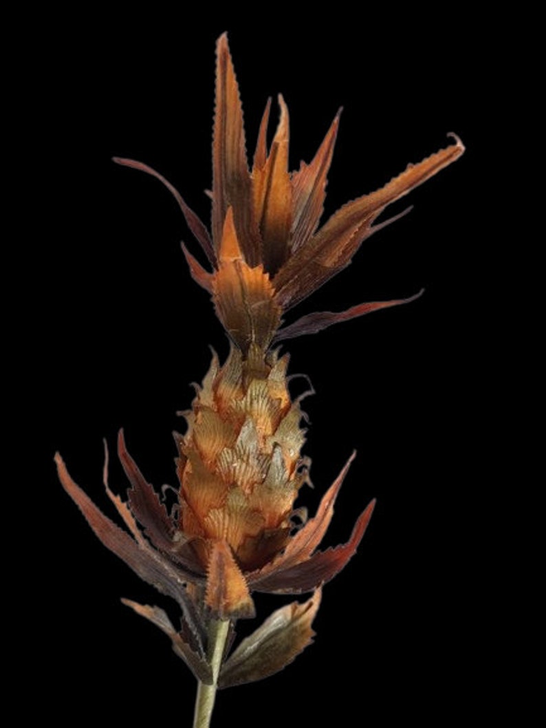 Decorative Fall-colored ANANAS Flower Silk Floral Stems - Etsy