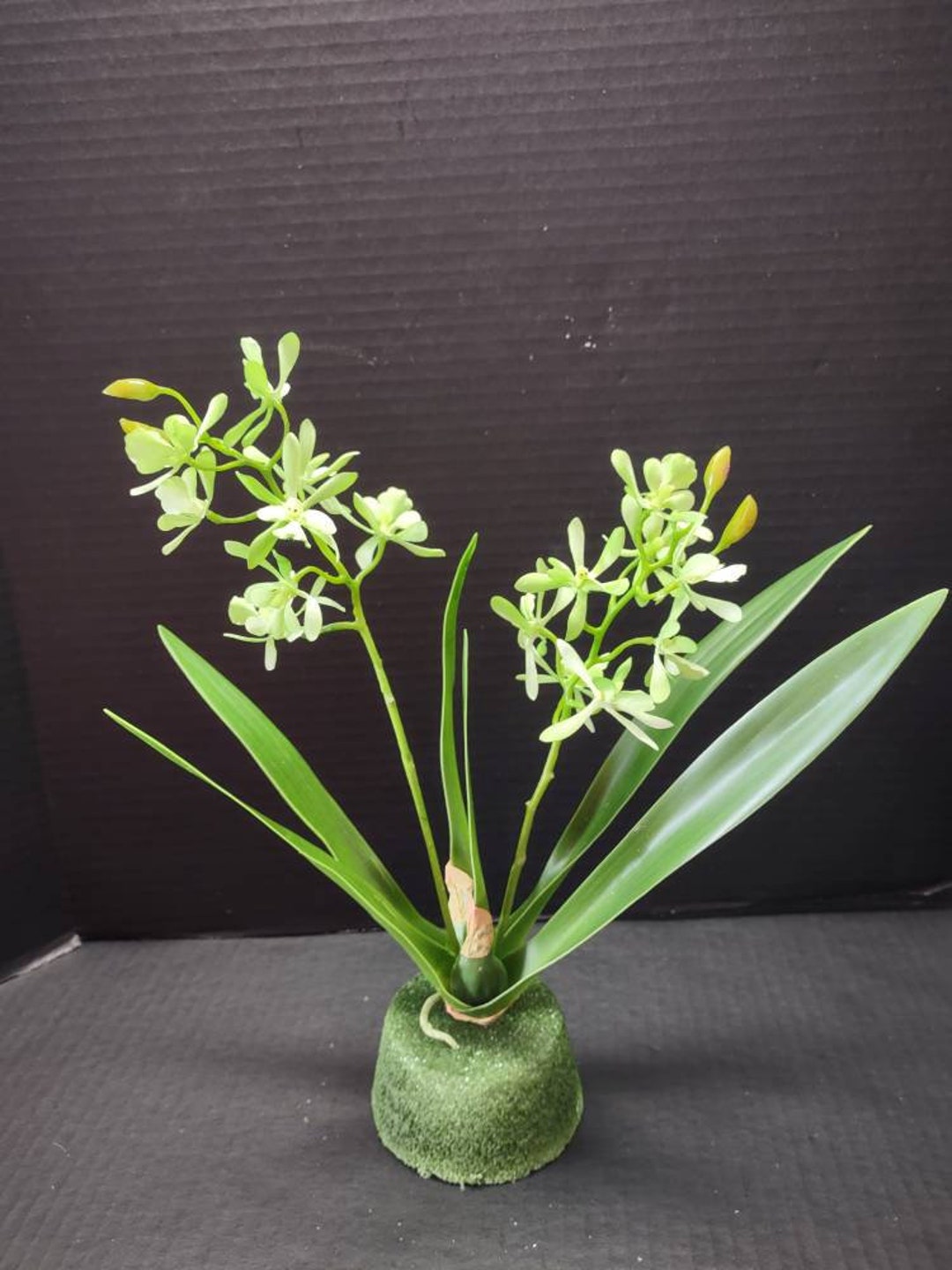 Artificial Mini Cattleya Orchid W/O Pot MINT GREEN - Etsy
