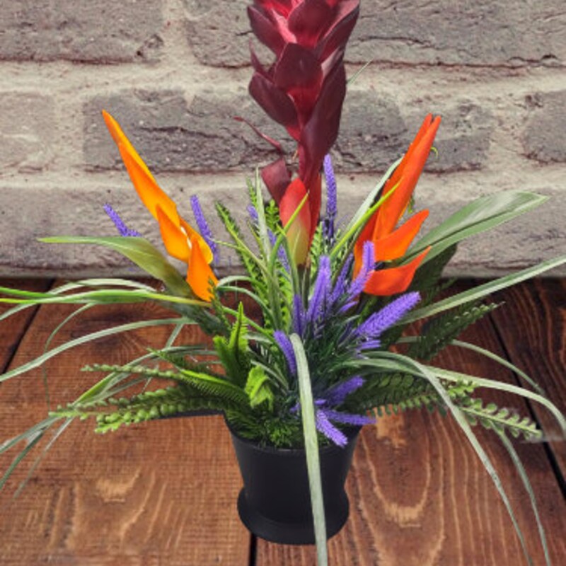 Pressed Tropical Flowers - Etsy