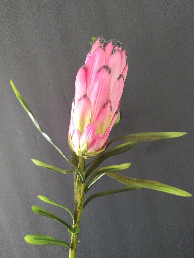 Artificial Protea Stems. Hawaiian Flowers. Tropical Flowers - Etsy