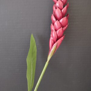 MINI Ginger Lily Stem. Silk Flower Floral Arrangements Tropical ...