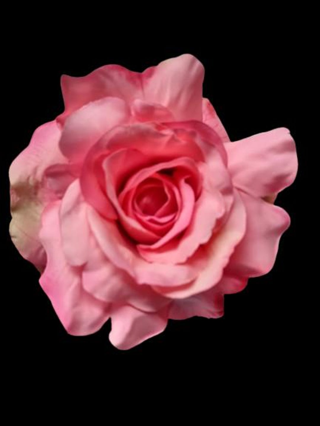 Three Long Stem Real Touch Silk Roses TWO-TONED PINK - Etsy