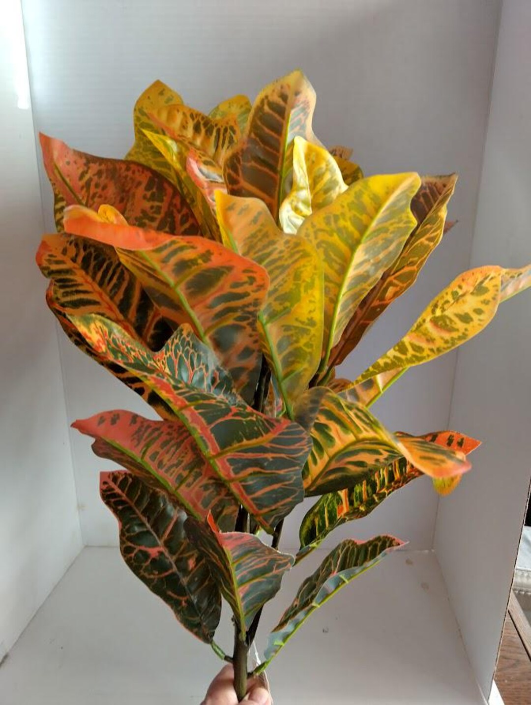 LARGE Artificial Croton Plant ORANGE - Etsy