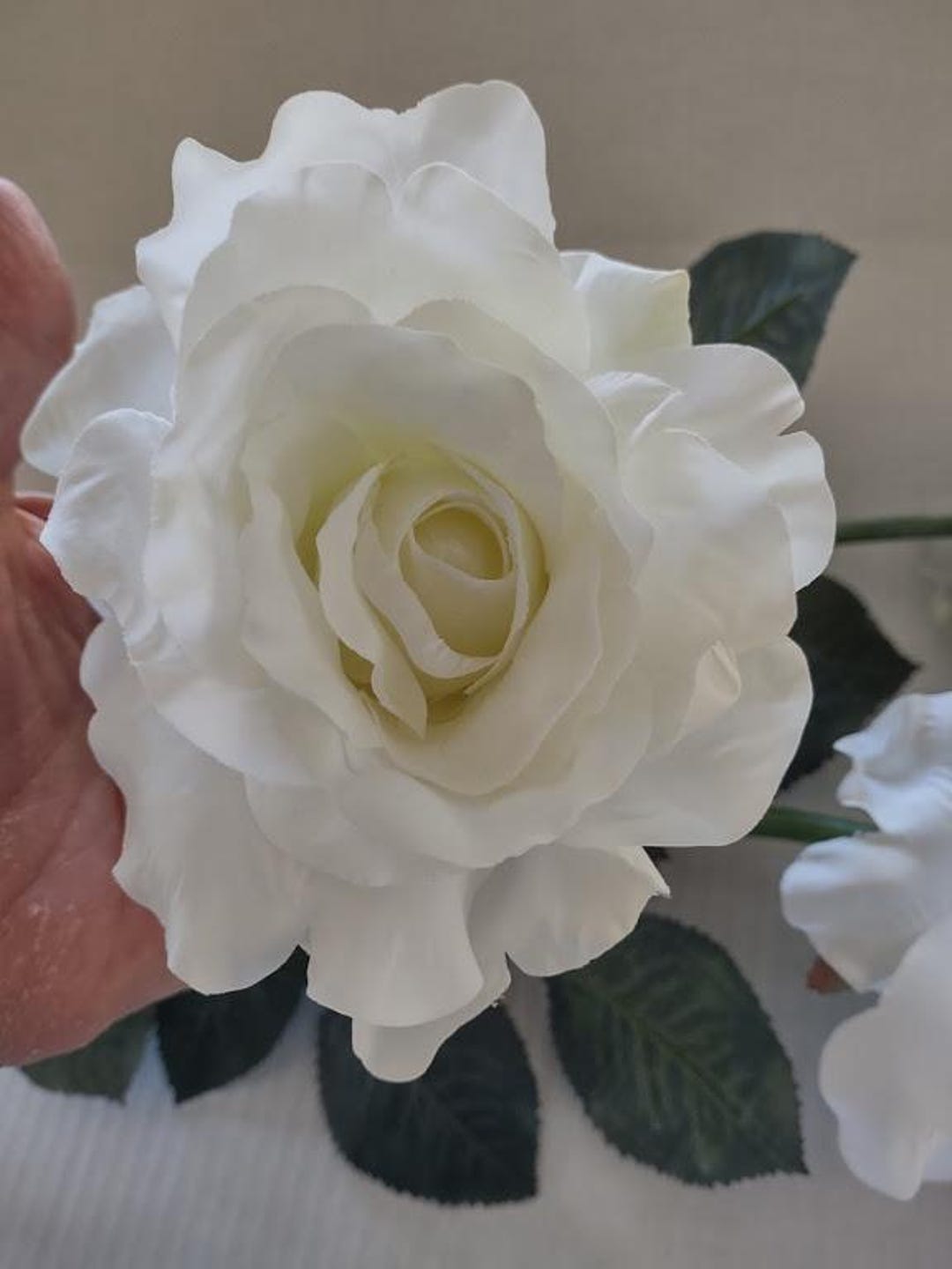 Three Long Stem Real Touch Silk Roses WHITE - Etsy UK