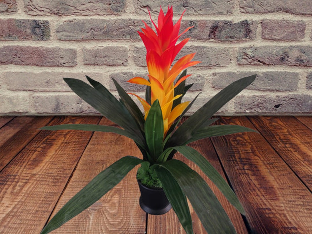 Artificial Bromeliad Plant in Ceramic Pot, Yellow With Orange ...