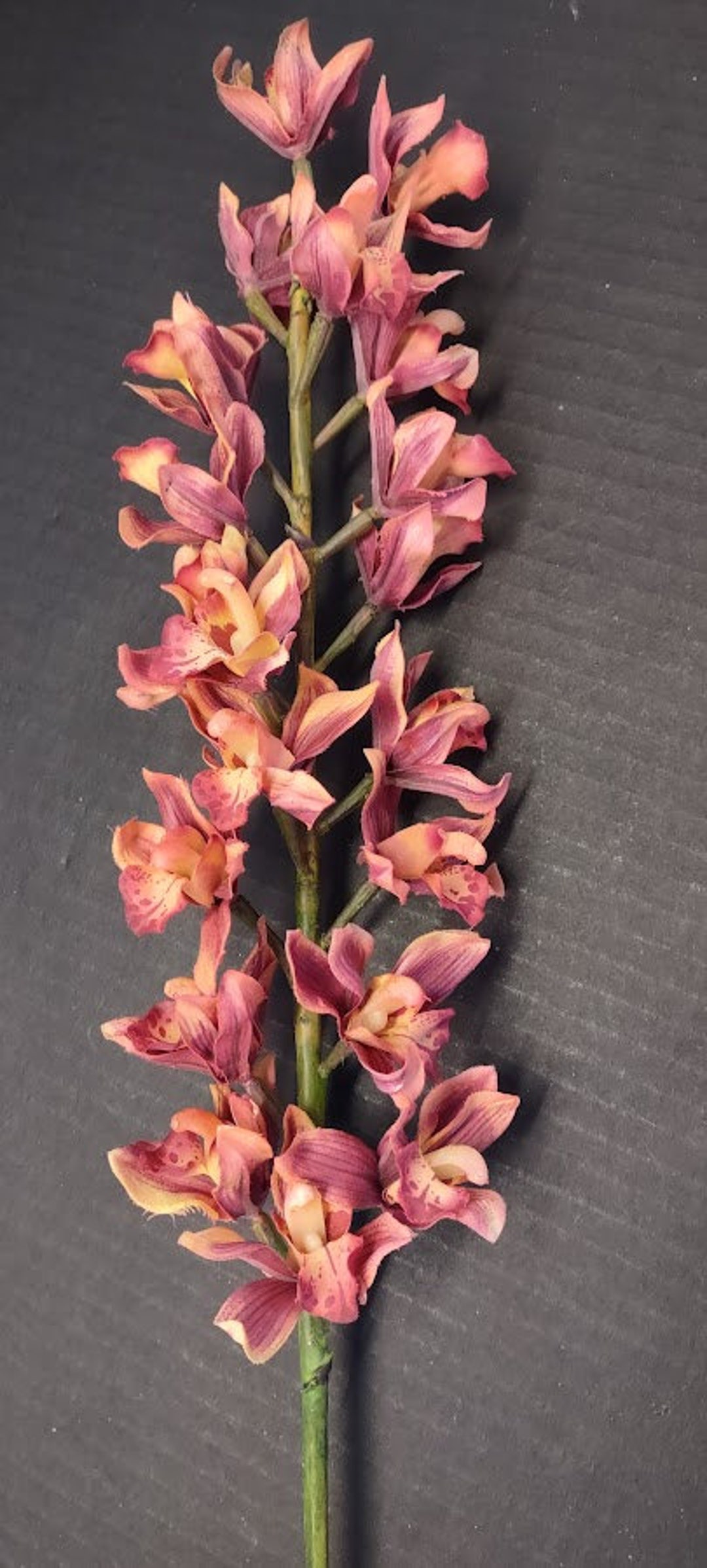 Artificial Cymbidium Orchid Stem RUST MAUVE - Etsy