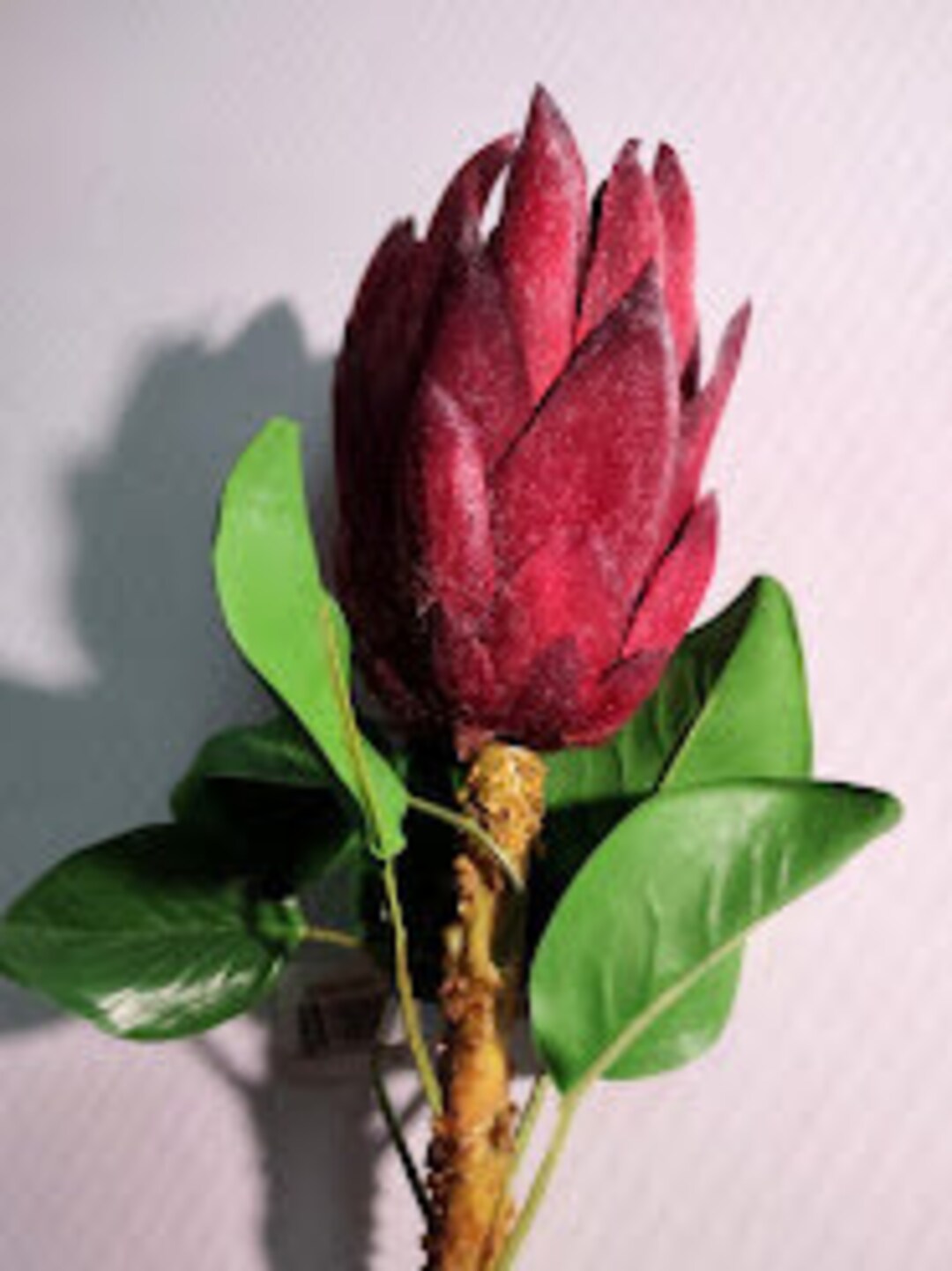 Artificial Protea Stems. Hawaiian Flowers. Tropical Flowers RED - Etsy