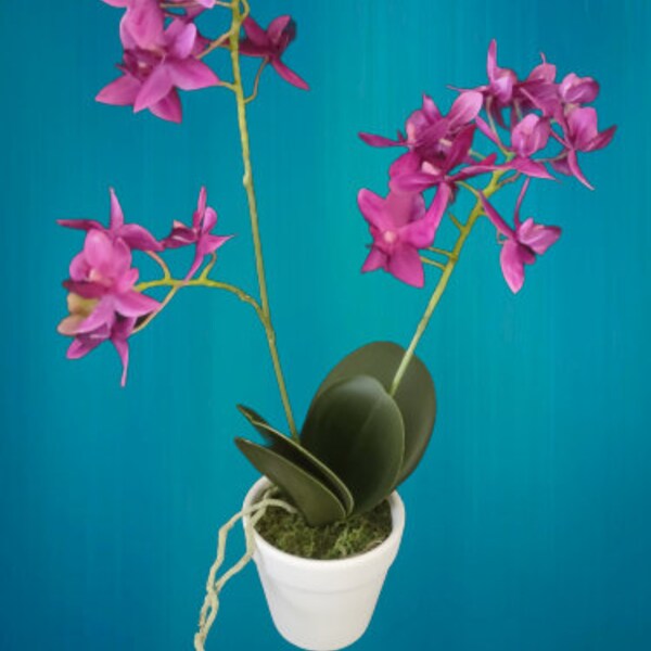Artificial Orchids - Etsy