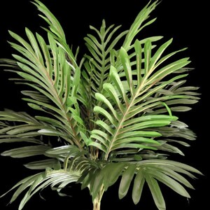 Artificial Areca Palm Bush - Etsy