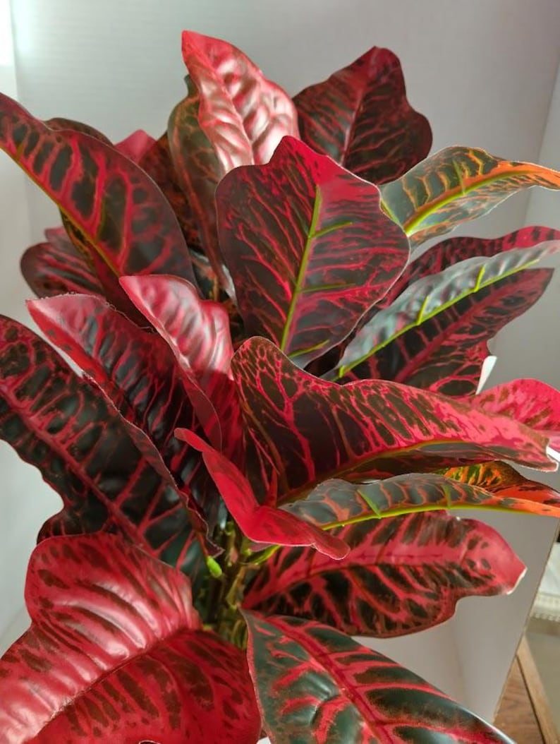 LARGE Artificial Croton Plant RED - Etsy