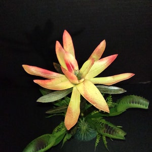 Artificial Venus Flytrap With Protea Flower and Ferns - Etsy