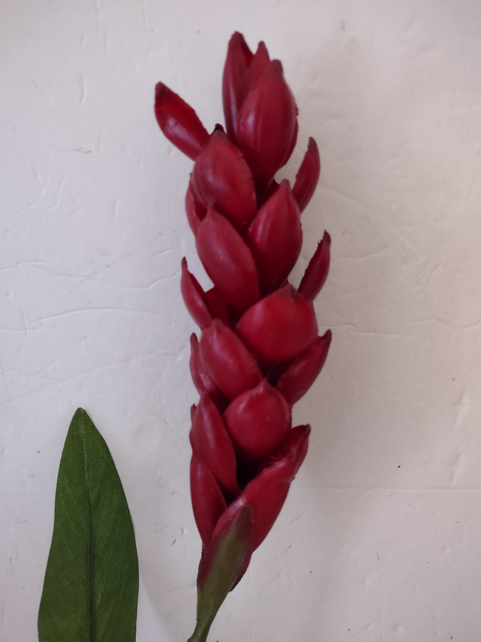 MINI Ginger Lily Stem. Silk Flower Floral Arrangements - Etsy