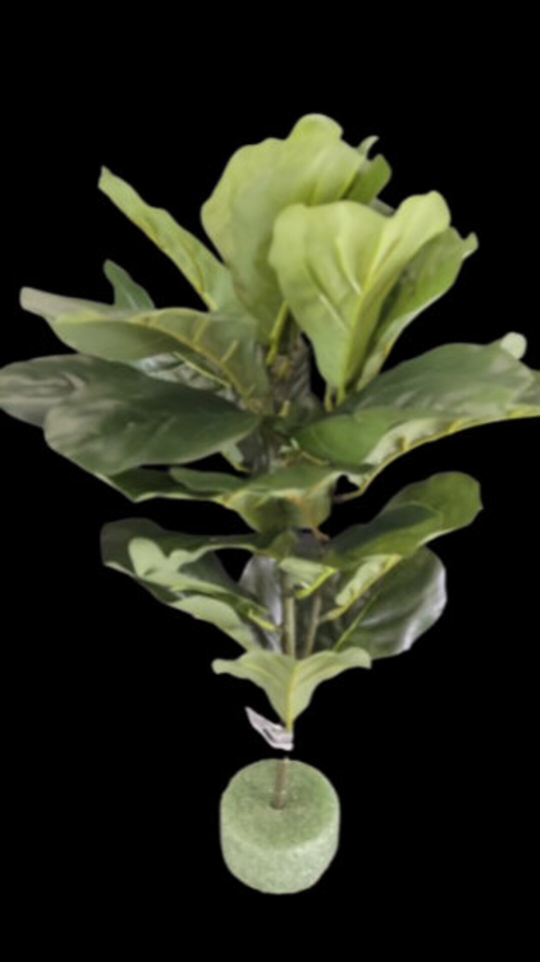 23" Artificial Fiddle Leaf Ficus Bush - Etsy