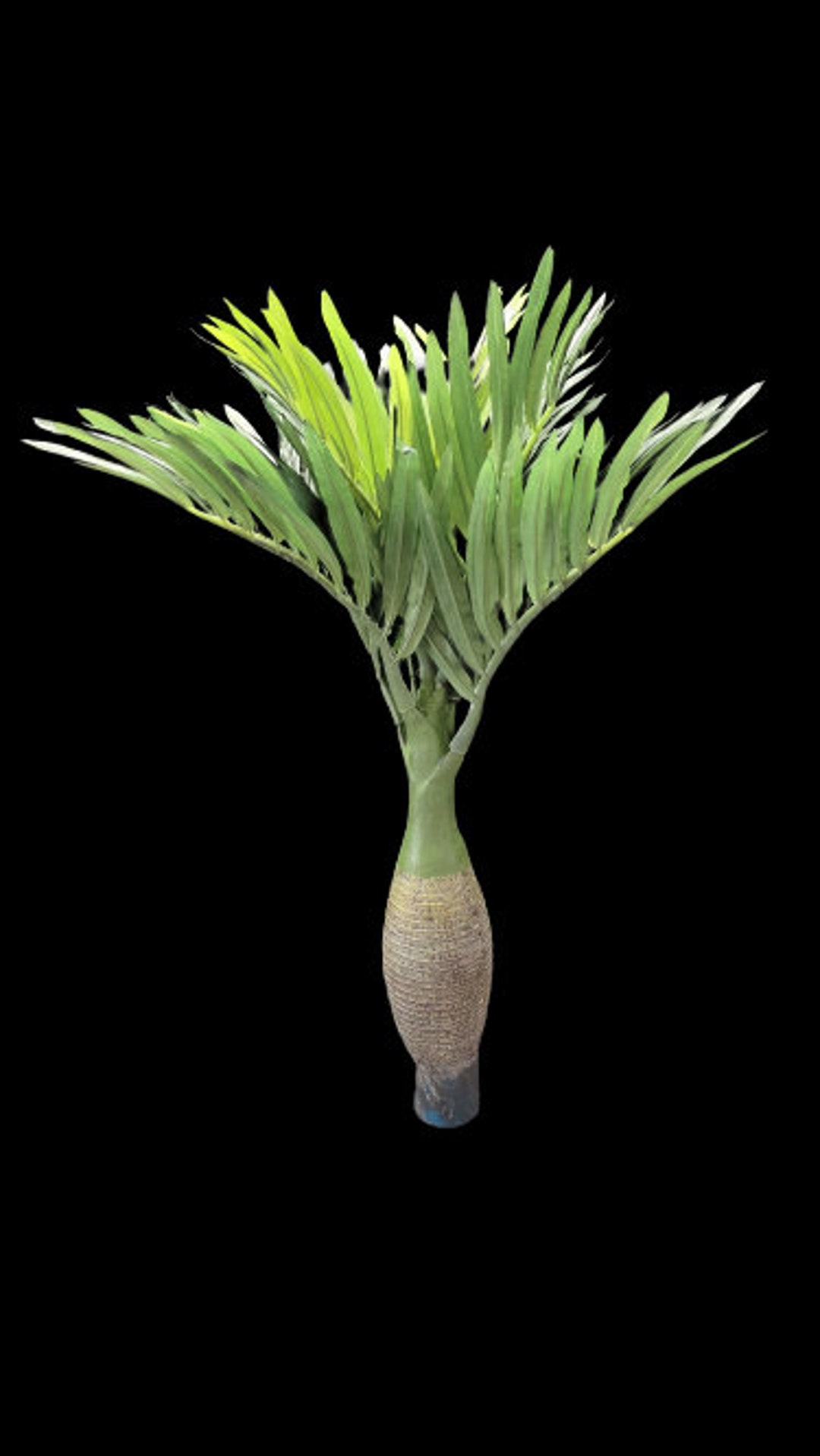 Cute Mini Artificial Bottle Palm Tree, Bonsai (A) - Etsy