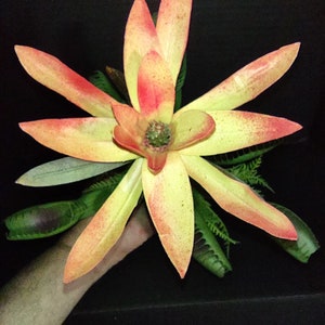 Artificial Venus Flytrap With Protea Flower and Ferns - Etsy