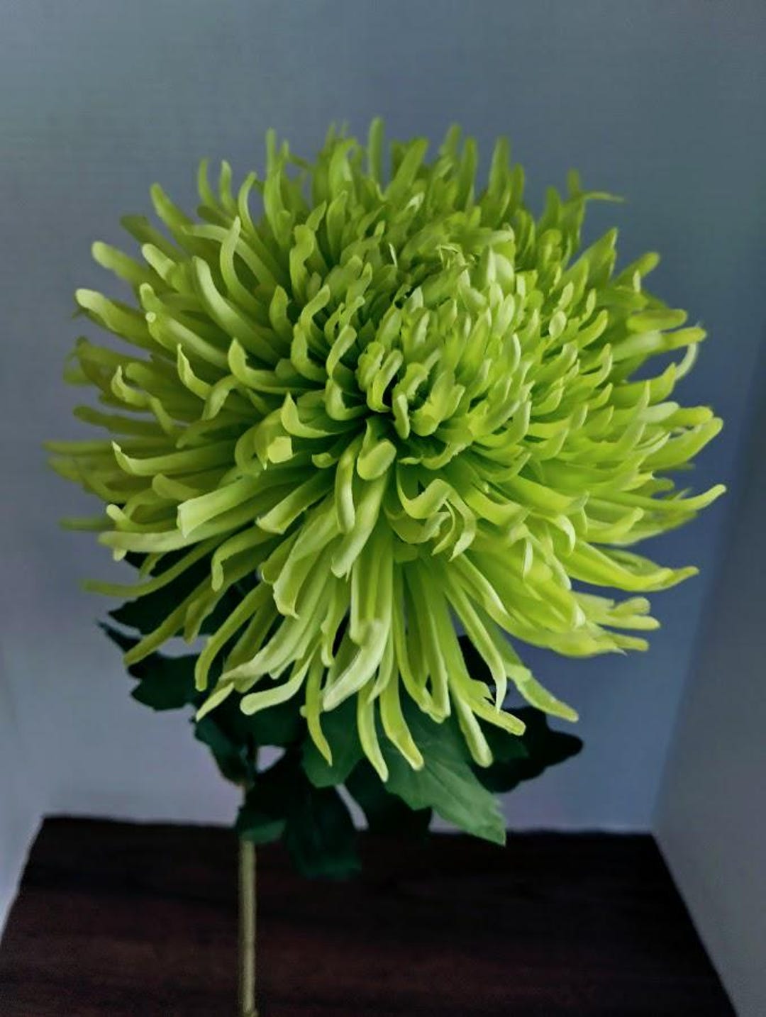 Artificial Natural Feel Chrysanthemum Stems GREEN - Etsy
