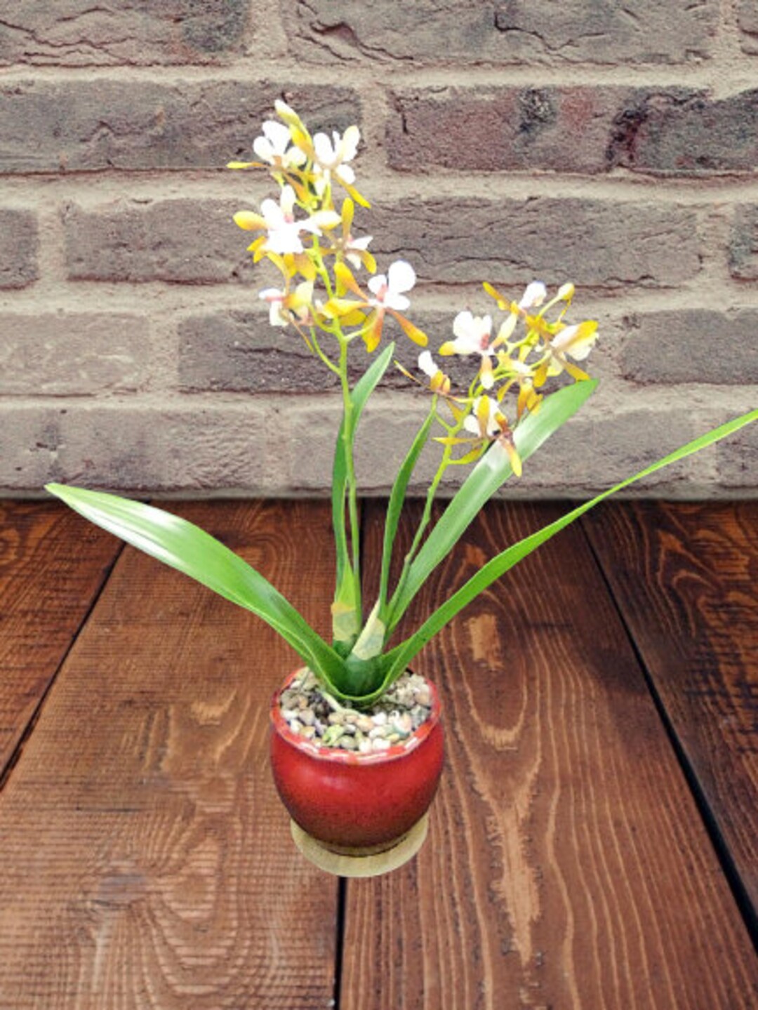 SALE 16 Artificial Mini Cattleya Orchid Plant in Ceramic Pot - Etsy