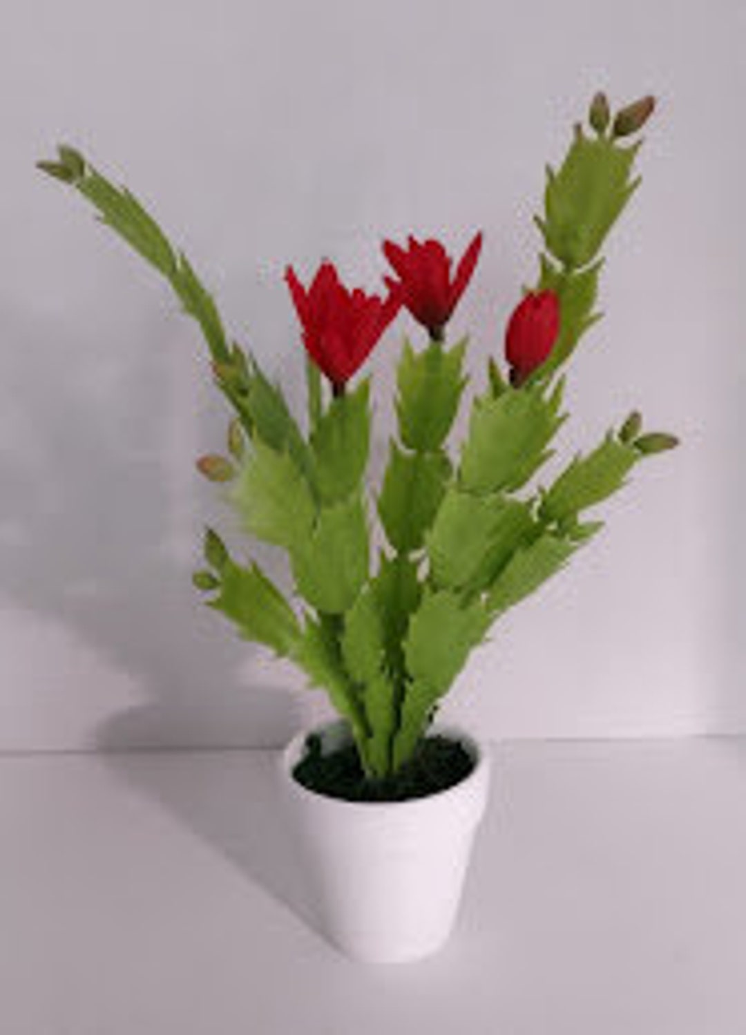 Mini Artificial Christmas Cactus Plant RED SCHLUMBERGERA - Etsy