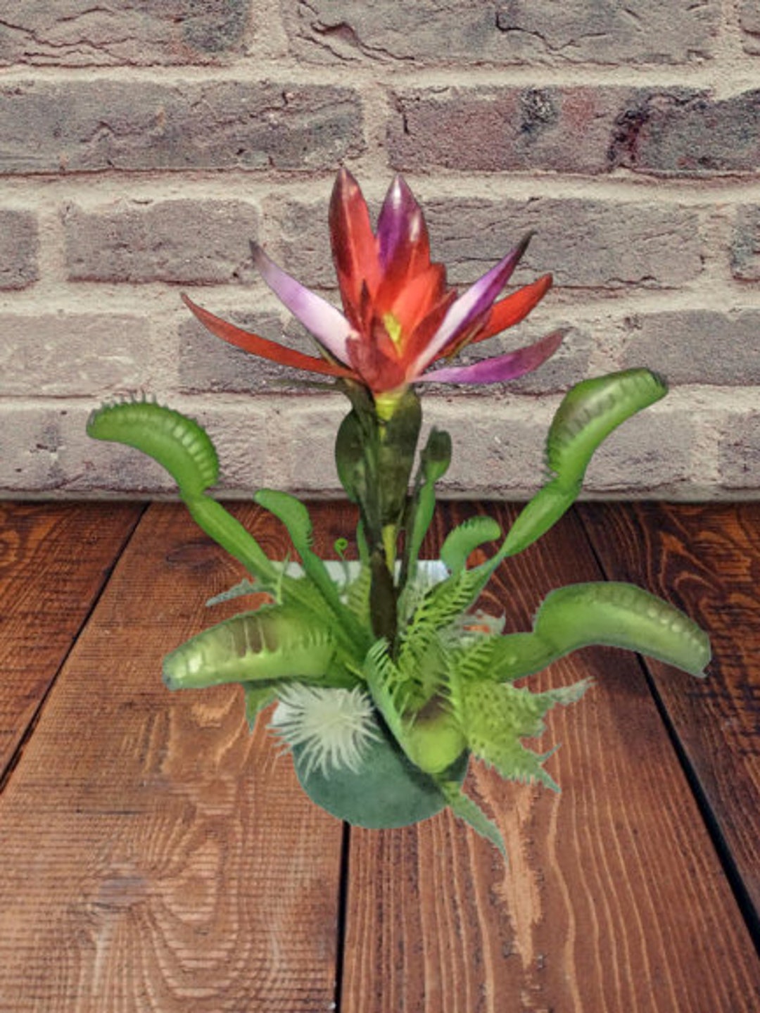 Artificial Venus Flytrap With Protea Flower and Ferns - Etsy