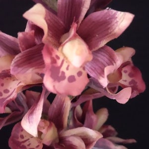 Artificial Cymbidium Orchid Table Decoration - Etsy