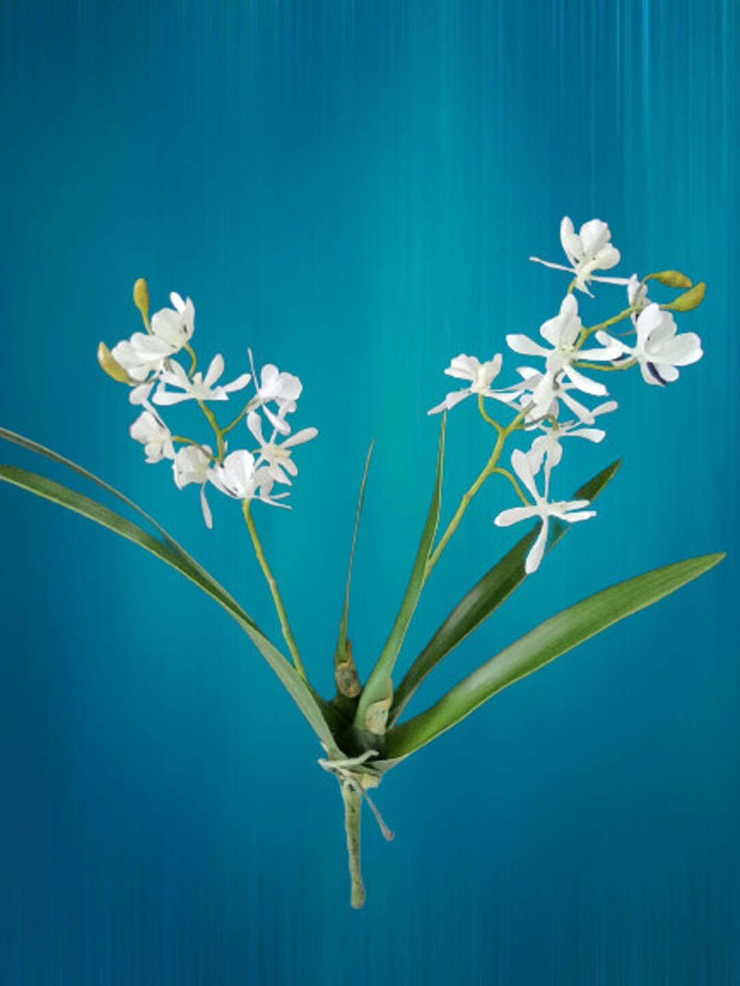 Artificial Mini Cattleya Orchid Stem WHITE - Etsy
