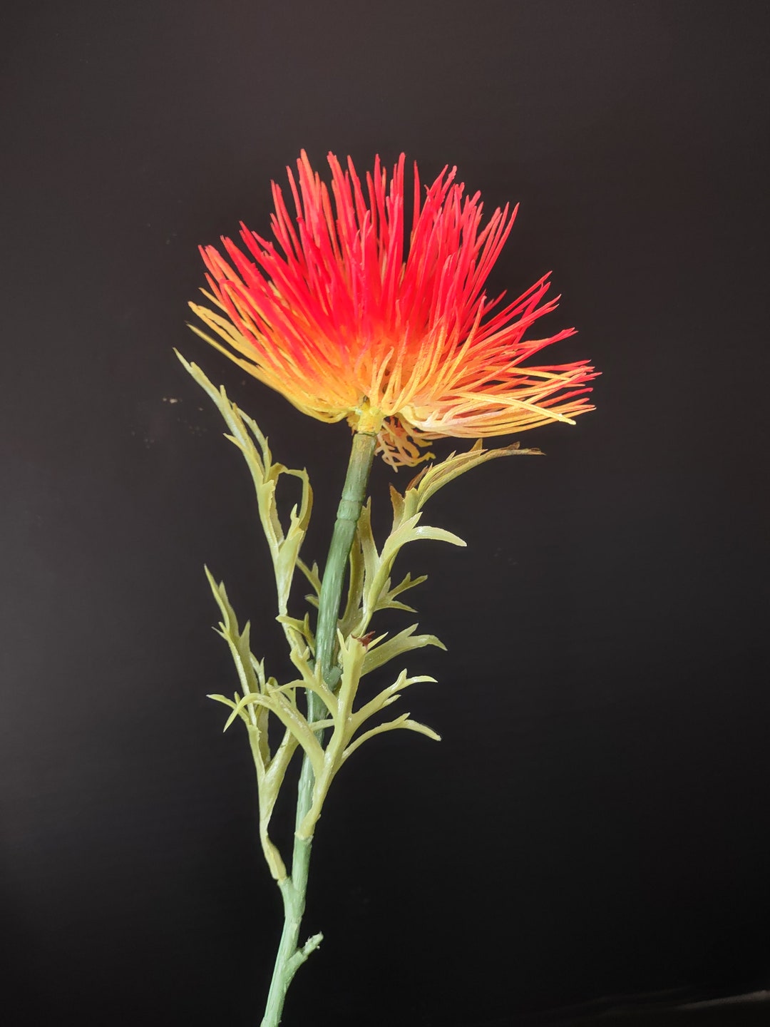 Wild Protea Stems. Hawaiian Flowers. Tropical Flowers FLAME - Etsy