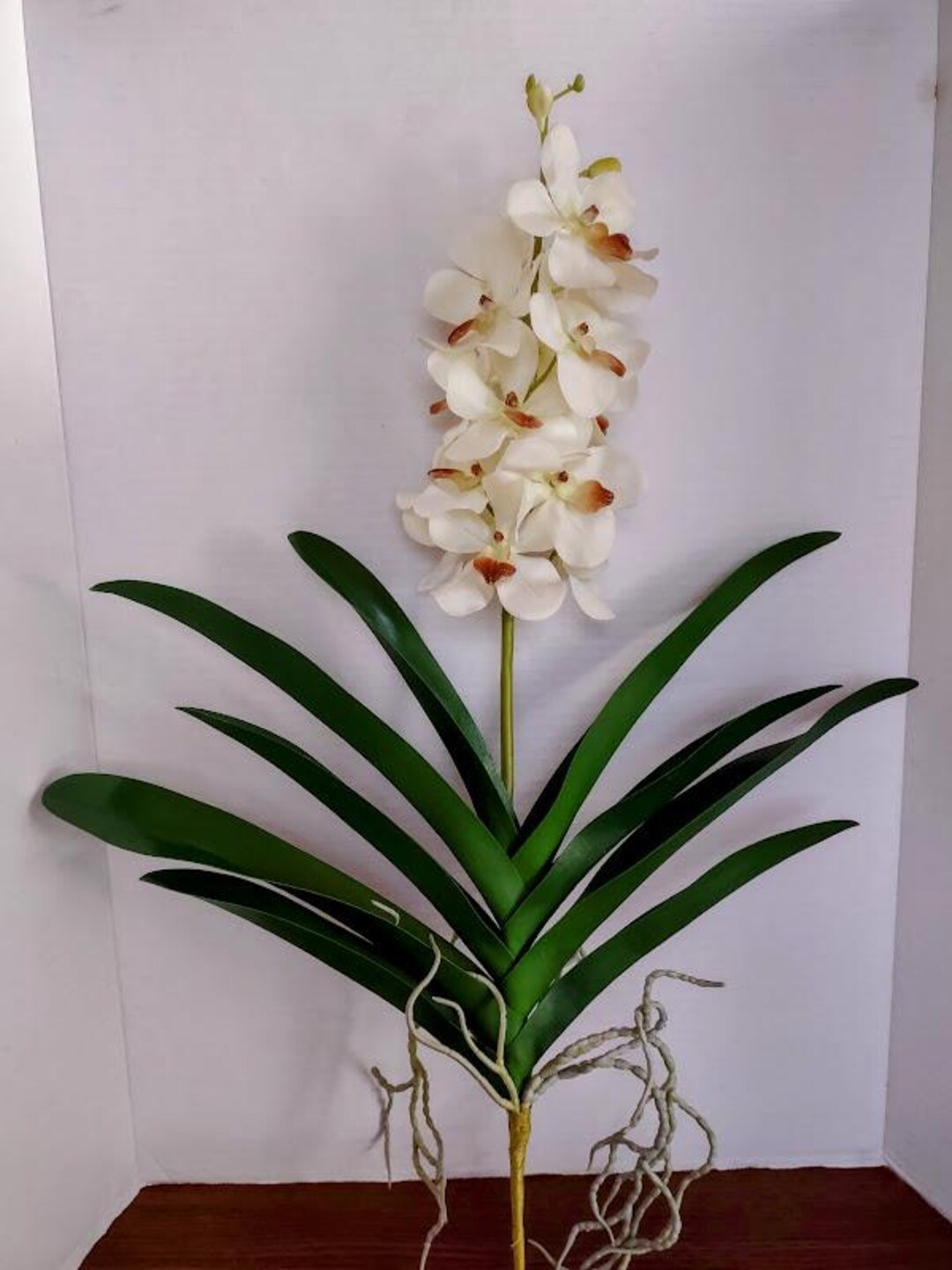Artificial Vanda Orchid Plant CREAM - Etsy