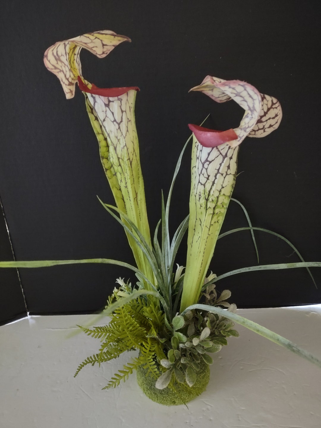 Artificial Pitcher Plant Carnivorous Plants Silk Flowers - Etsy UK