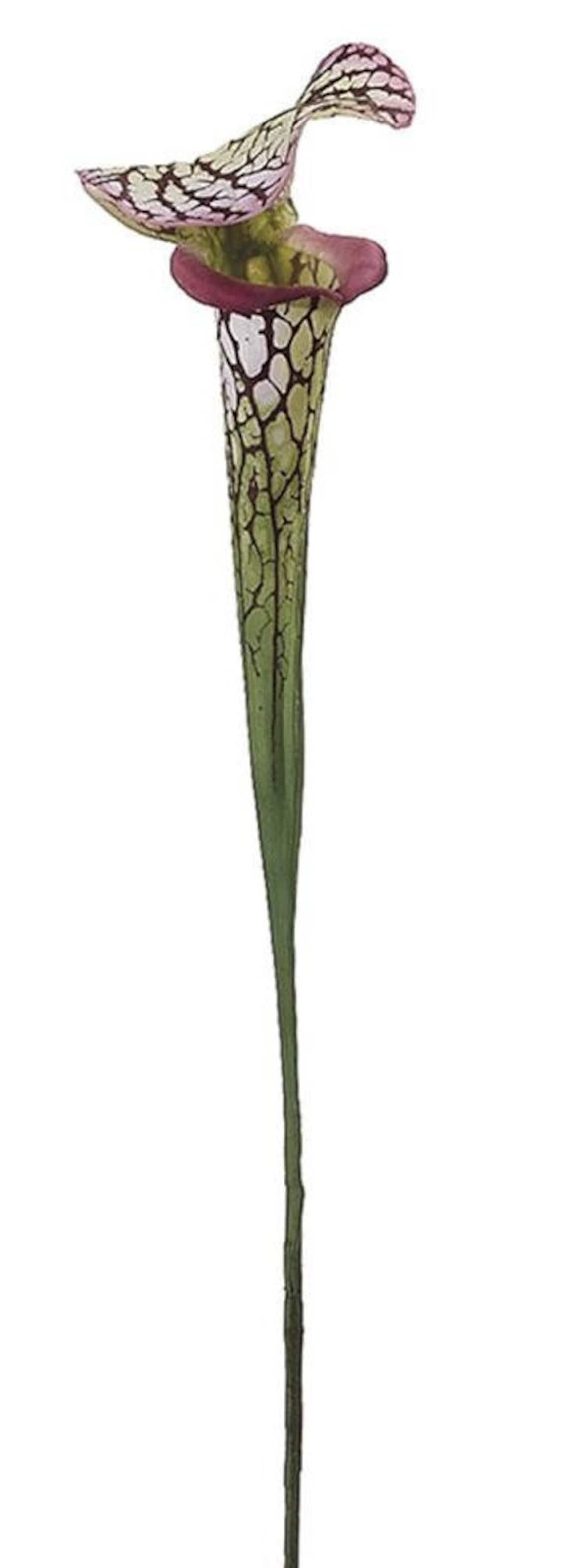 26" ARTIFICIAL Pitcher Plant Stem GREEN - Etsy