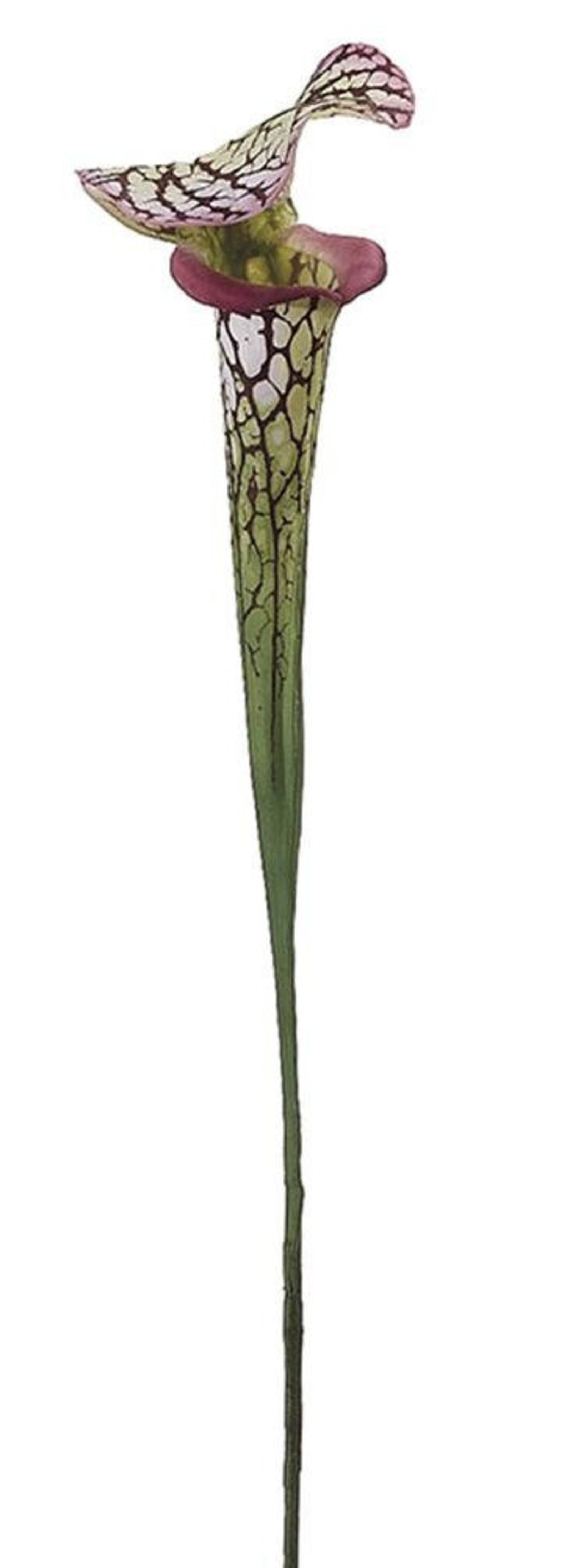 26" ARTIFICIAL Pitcher Plant Stem GREEN - Etsy