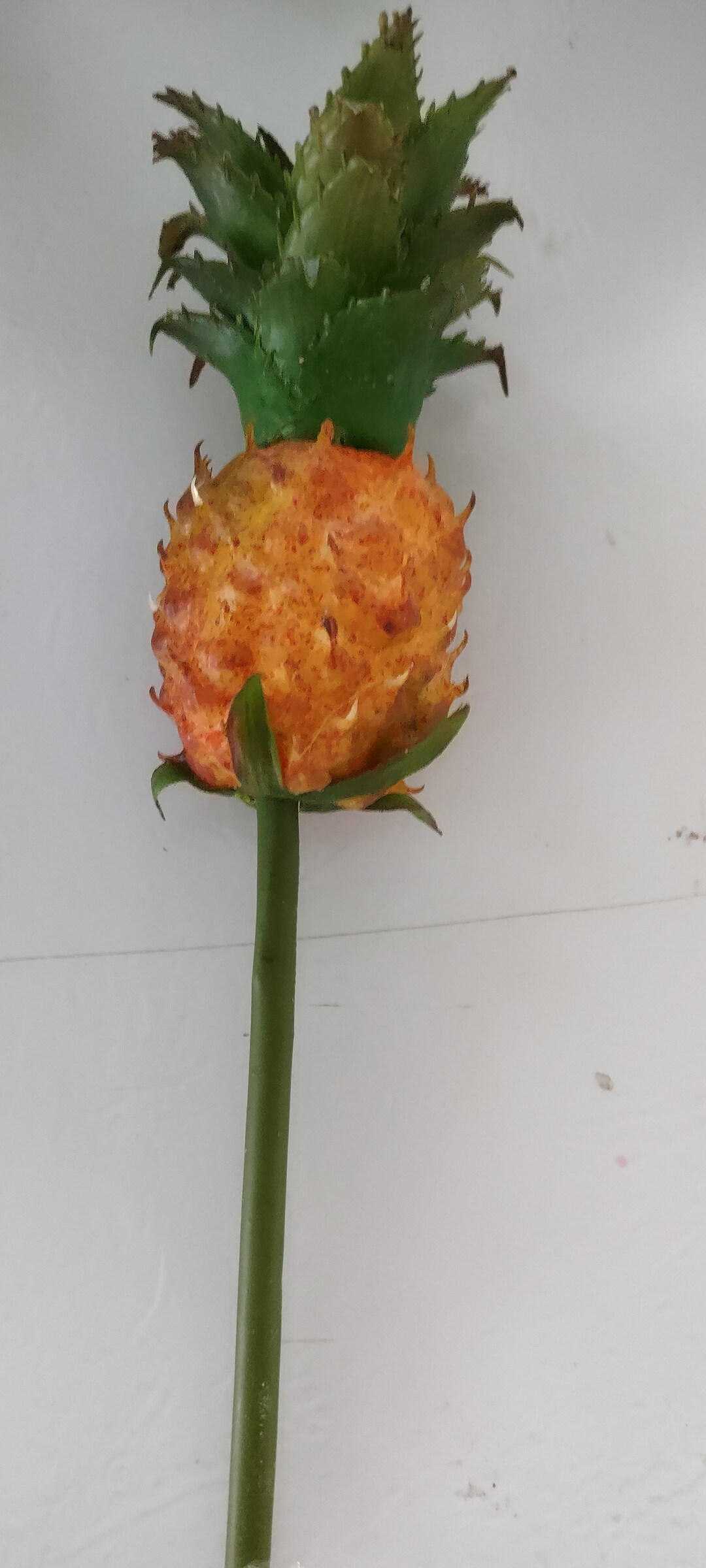 14.5" Pineapple Stem. Silk Flower Floral Arrangements. FP5234RGR ORANGE ...