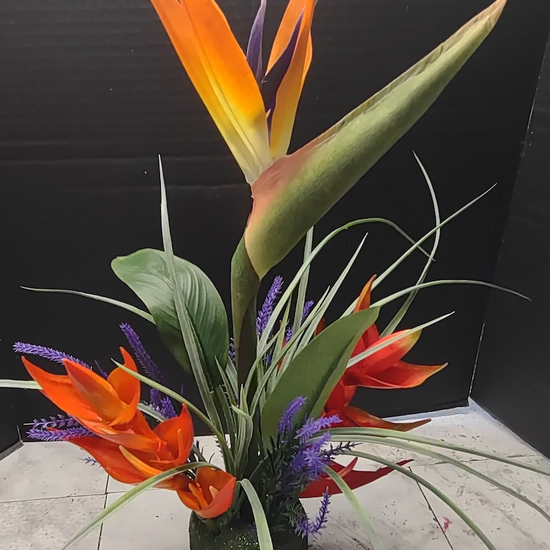Pressed Tropical Flowers - Etsy