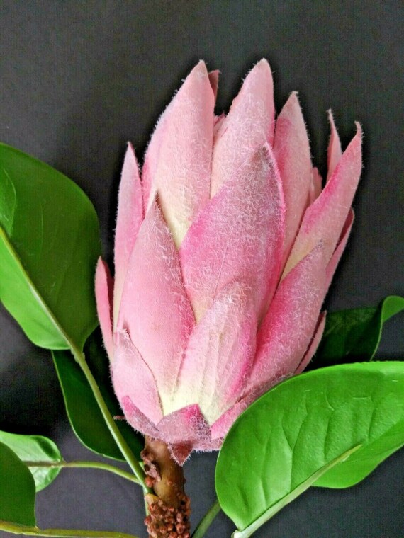 Artificial Protea Stems. Hawaiian Flowers. Tropical Flowers - Etsy