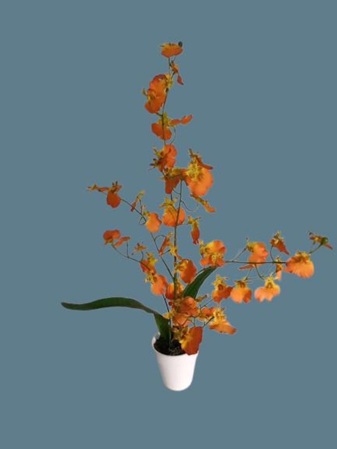 Mini ARTIFICIAL Oncidium Dancing Orchid ORANGE - Etsy