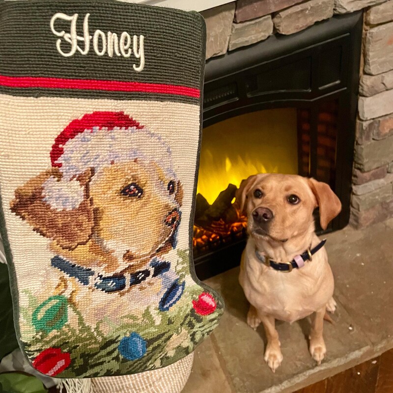 Dog Stockingpersonalized - Etsy