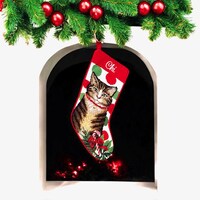 Christmas Cats Stocking Finished Personalized Christmas Stocking With ...