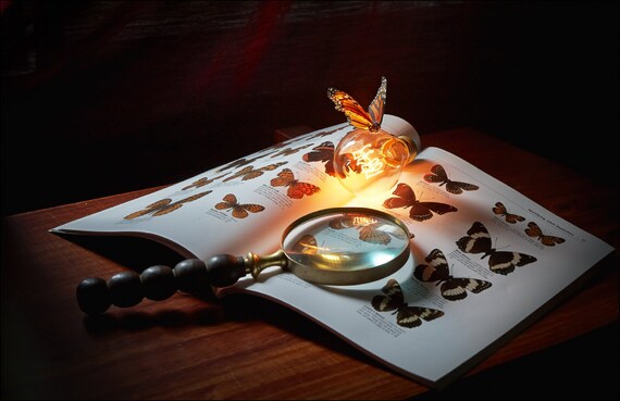 Magic of Light Color Photo Print Fine Art Photography | Etsy