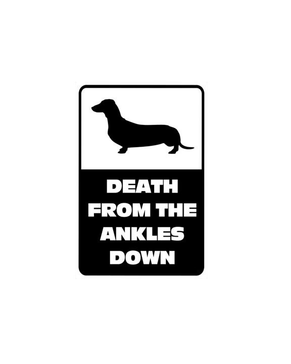 Dachshund, Weiner Dog, Parking Sign, Dog, Pet Sign, Doxie, Dog Mom - Etsy