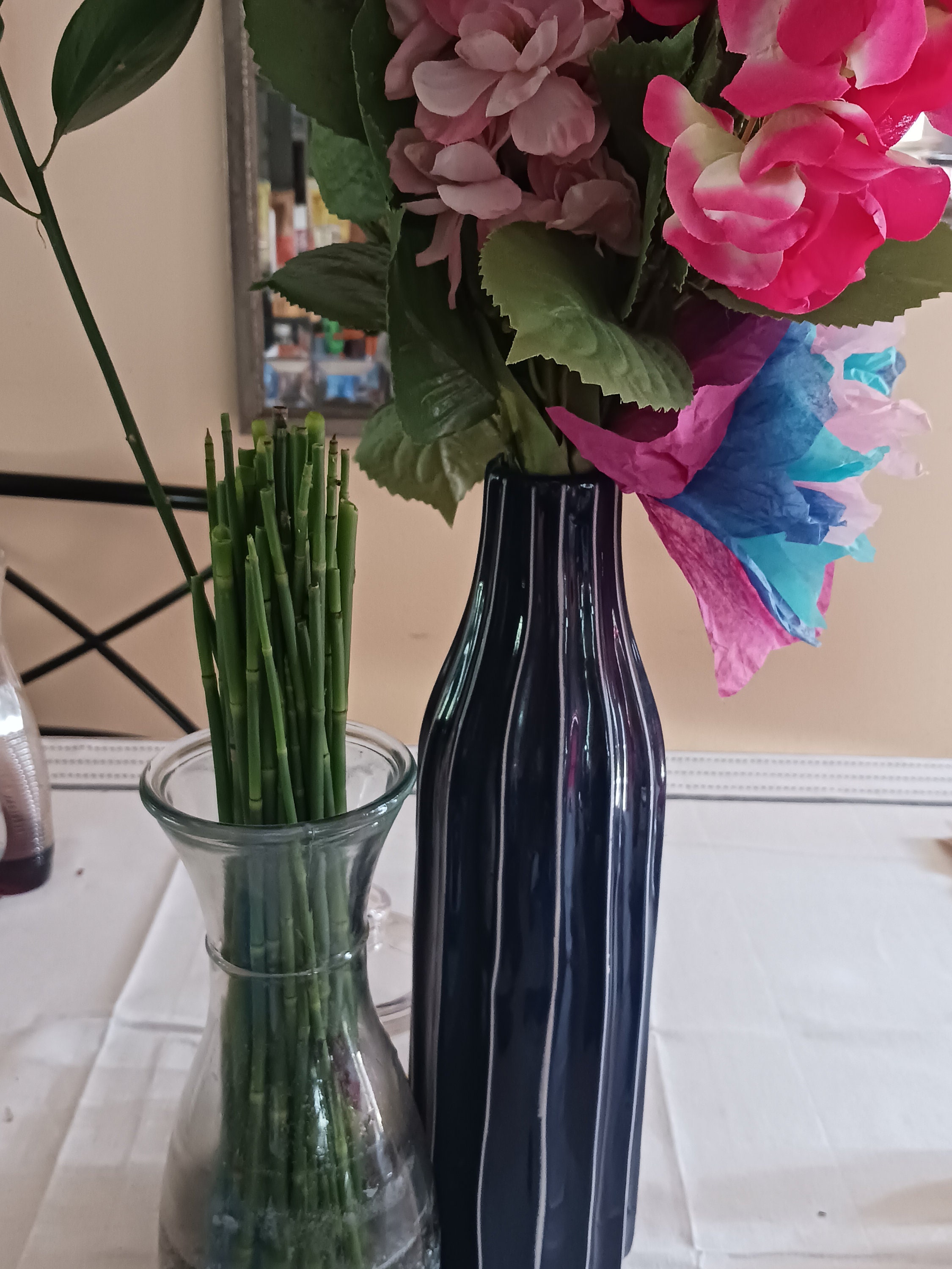 10 Stalksof 12" HORSETAIL Reed Plant Evergreen Perennial Deer Resistant ...