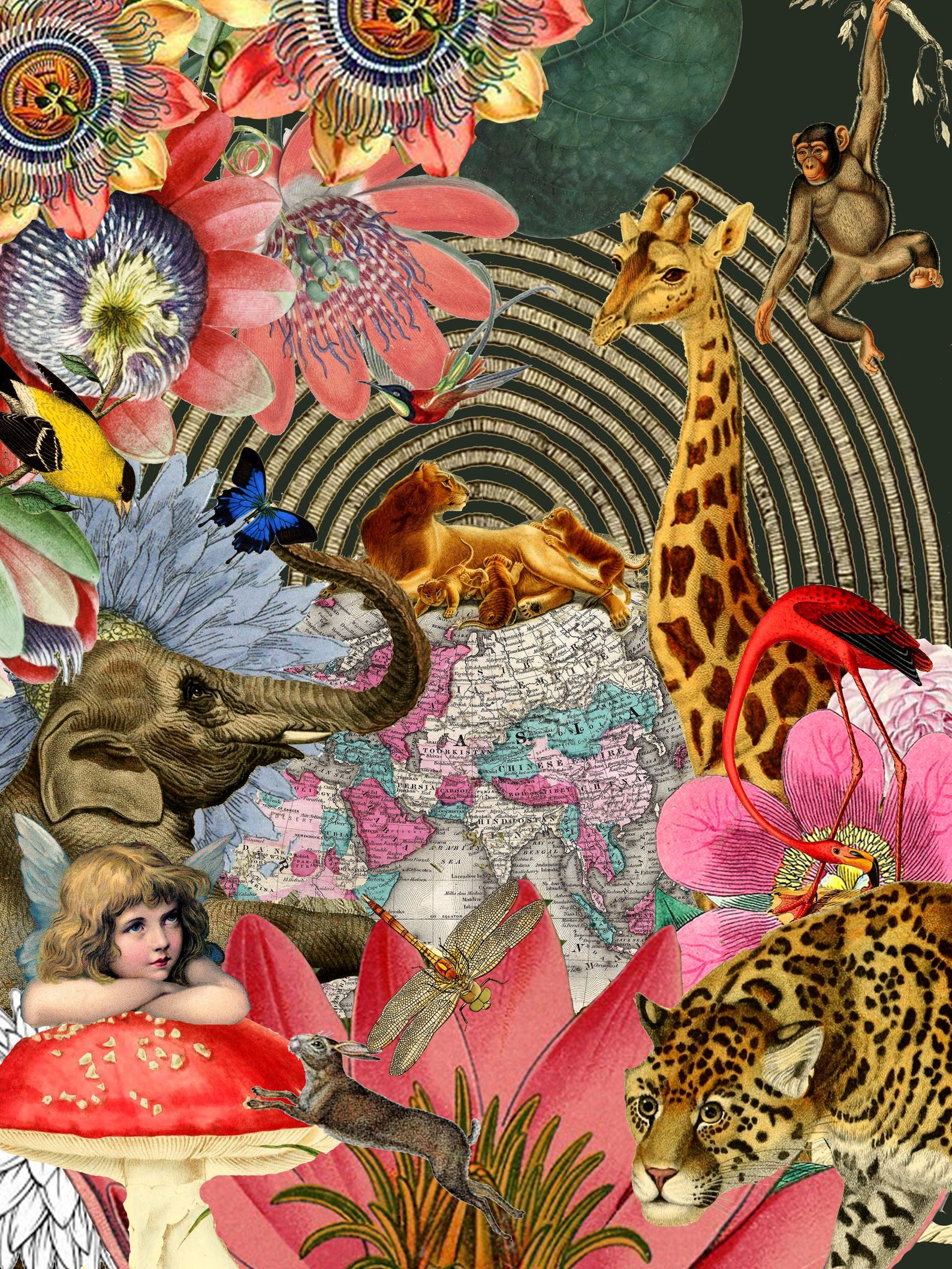 Animal Planet by Sue Churchill Art Card, Blank Card, Greeting Card ...