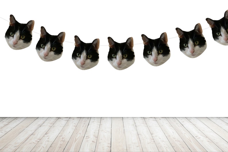 Cat Face Banner, Personalized, Funny, Hat, Pet, Cat, Birthday Party ...